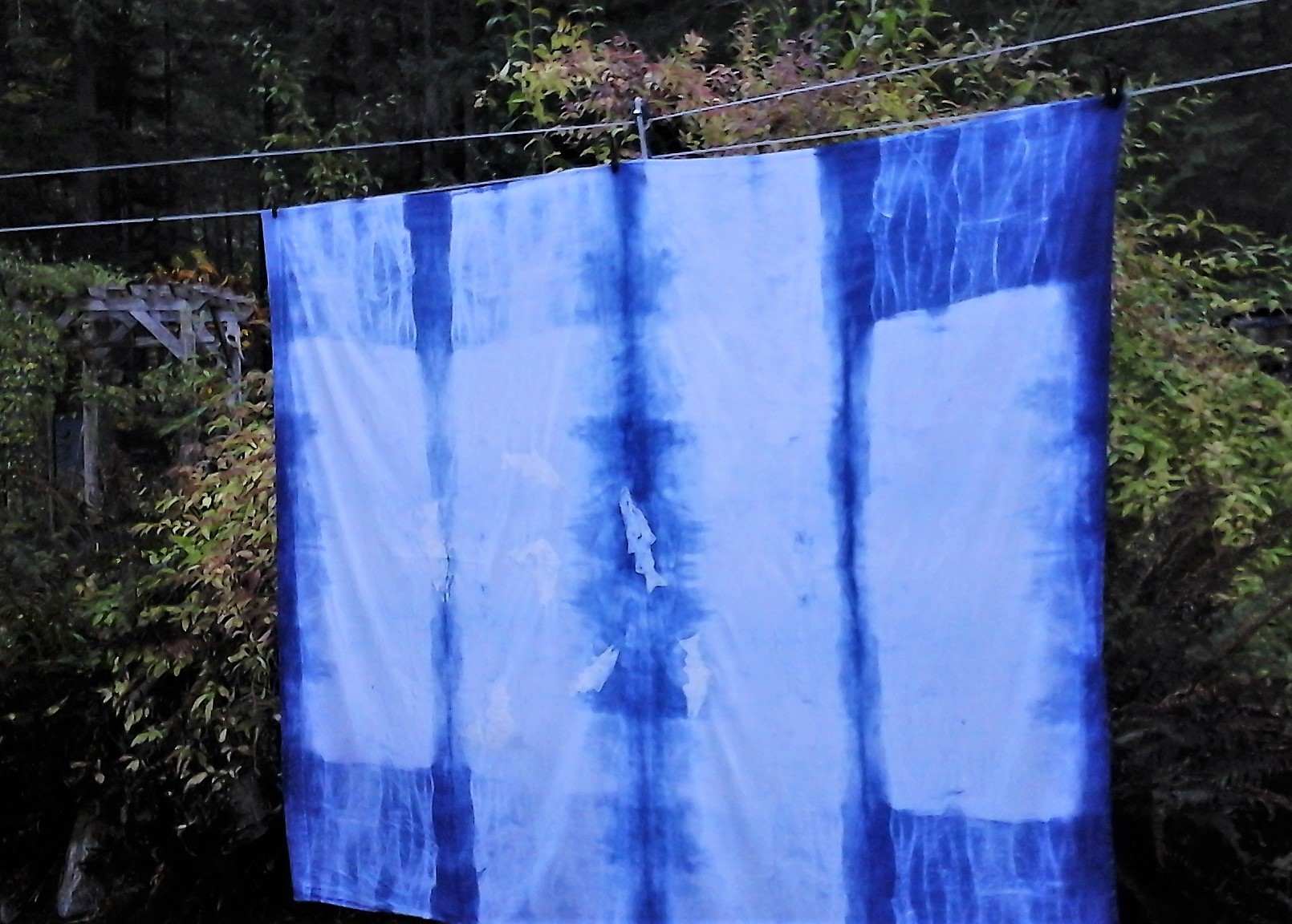 pale fish on a pale ground – …Theresa Kishkan